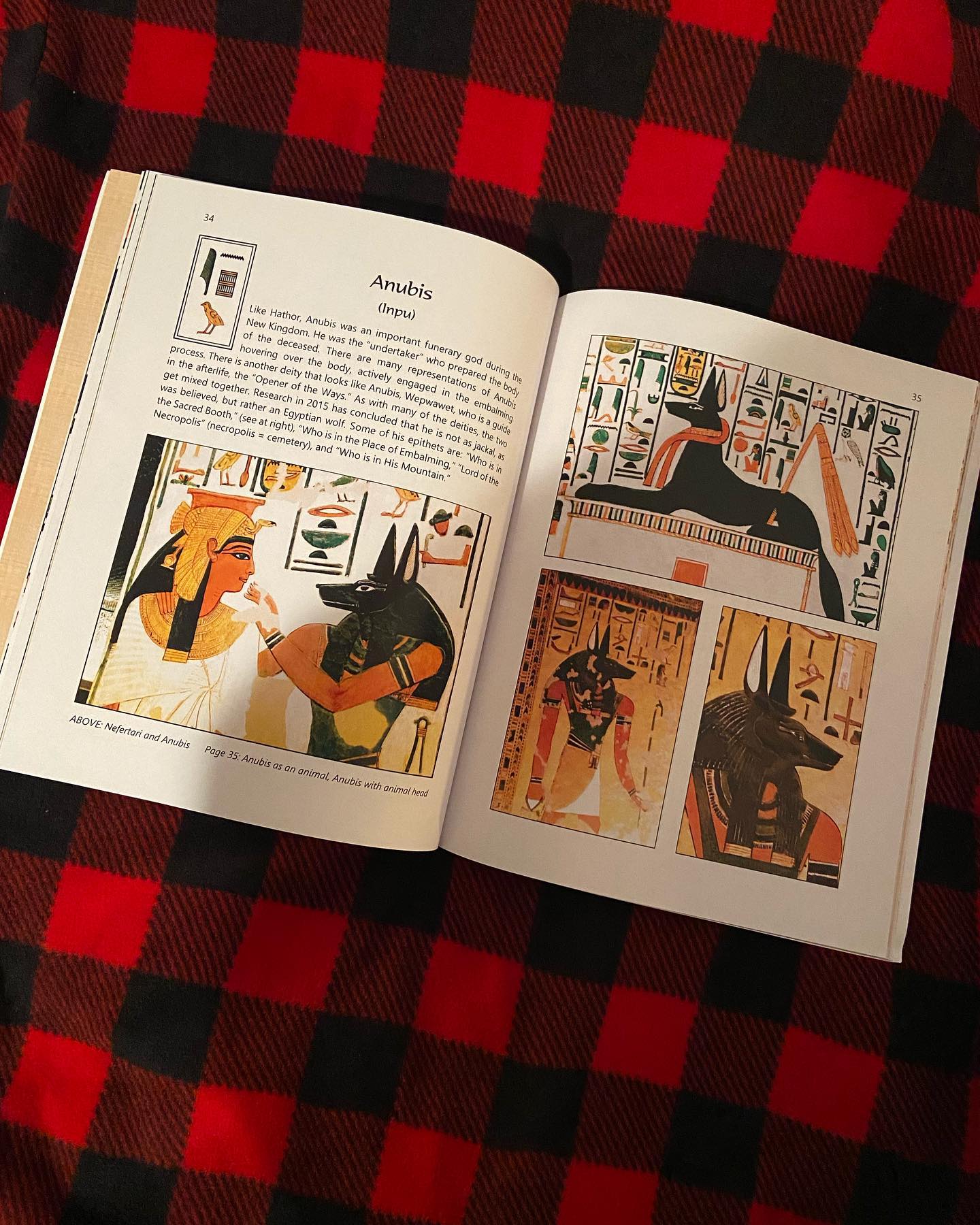 Book Review - "The Tomb of Queen Nefertari" - Ancient Egypt Blog