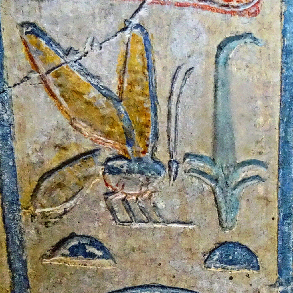 "He of the Sedge and the Bee" - Ancient Egypt Blog